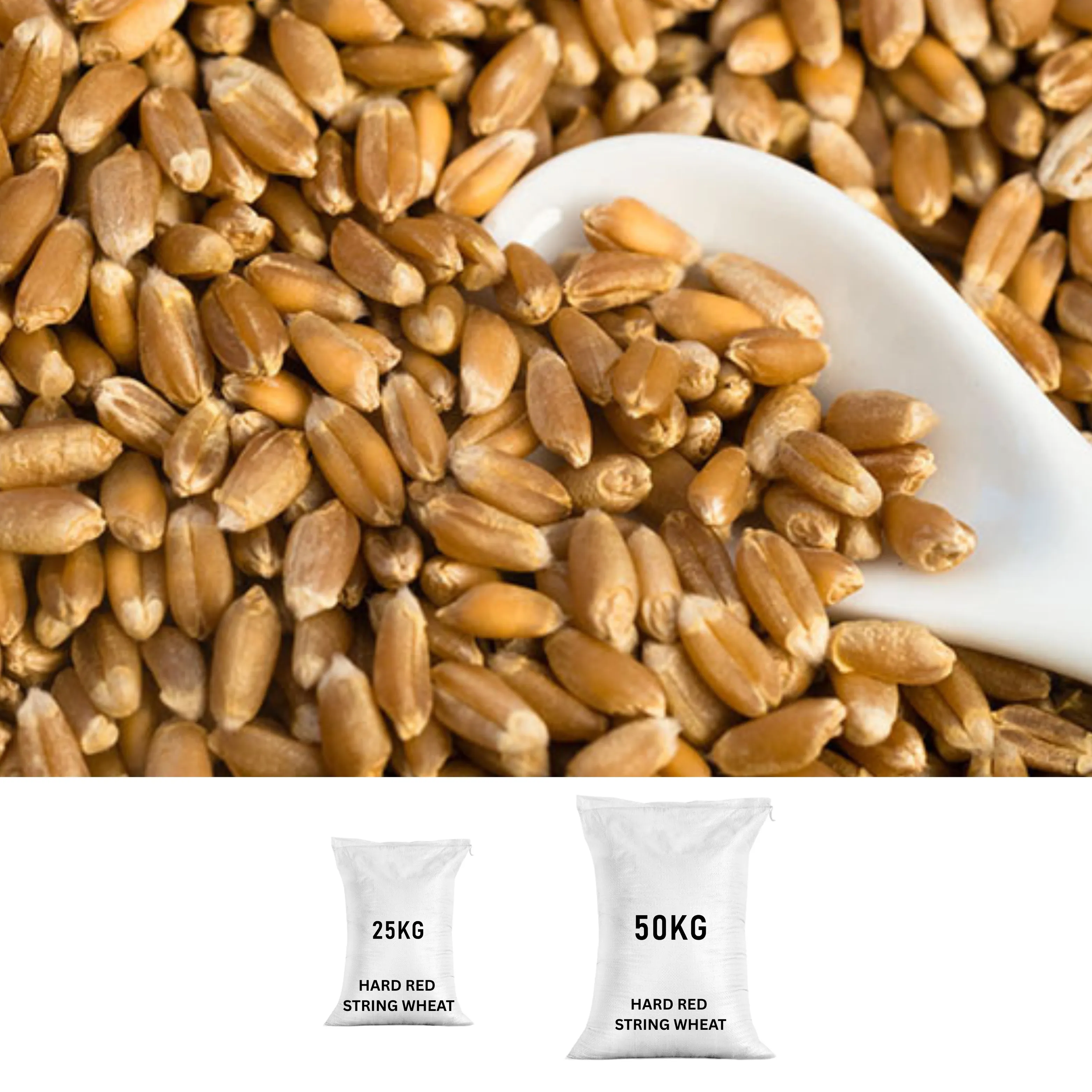 Premium Hard Red Spring Wheat – High-Protein NON-GMO Baking Wheat ...