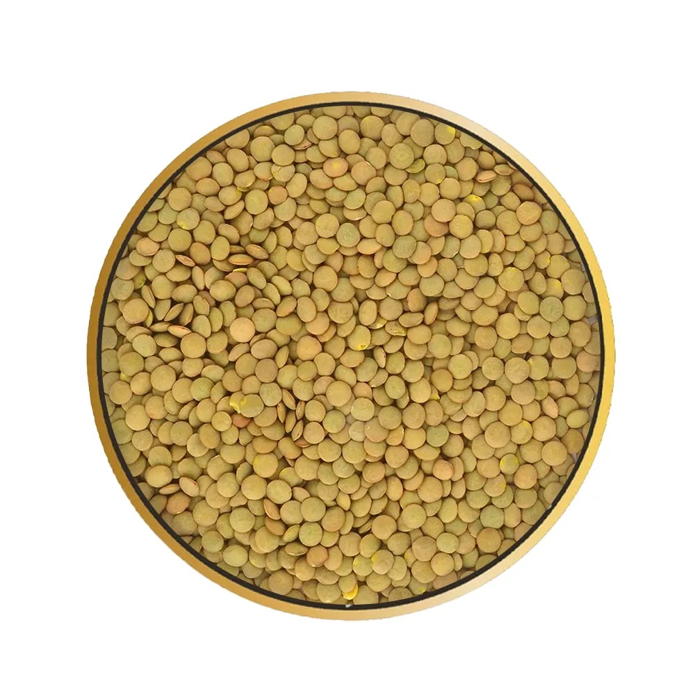 NON-GMO Lentils | Premium Food-Grade Lentils Wholesale | France AJ Holding